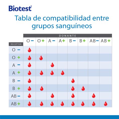 ¿qué Tipo De Sangre Tienes Descúbrelo En Biotest Tu Laboratorio