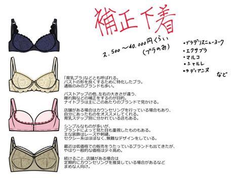 ブラジャーの描き方や種類をイラストでご紹介！サイズや名前も徹底解説！｜お絵かき図鑑