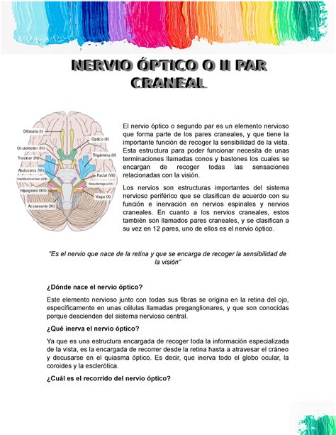 2 Tarea Par Craneal Optico Ii Nervio Óptico O Ii Par Craneal El