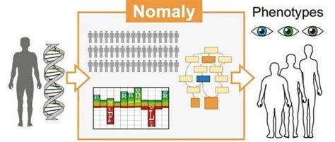Nat Commu 从人类基因测序直接预测表型：从头设计的全新体系 知乎