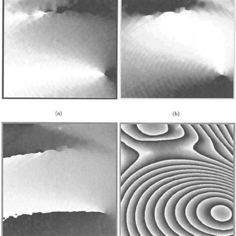 A Estimated Fringe Pattern In Quadrature From The Synthetic Fringe Download Scientific