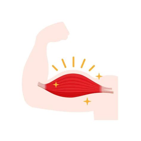 What Is Nucleus Overload Training Does It Work Muscle And Recovery