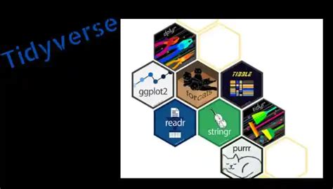 Mastering Data Wrangling How R Can Help You Clean Preprocess And Manipulate Data For Optimal