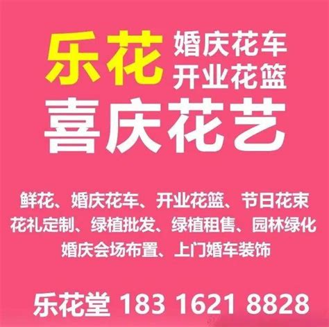 肇庆鲜花预订肇庆花店婚庆花车开业花篮生日花束买花订花 乐花堂 工作 猛料 乐花