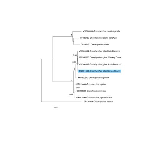 a maximum likelihood trees constructed with the coding sequences of