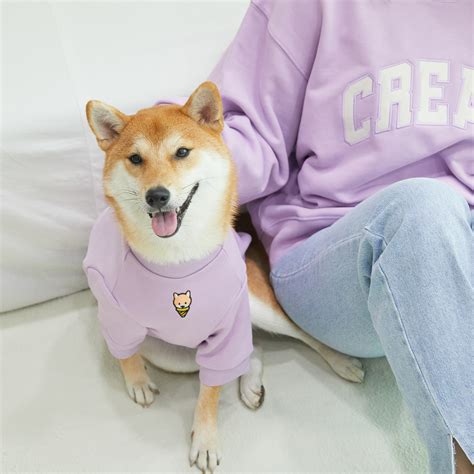 강아지 맨투맨 귀여움과 편안함을 담은 데일리룩 크림퍼피