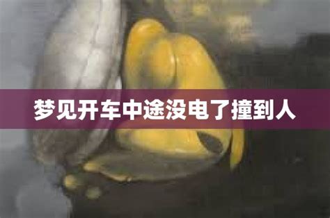 梦见开车中途没电了撞到人 命理解梦