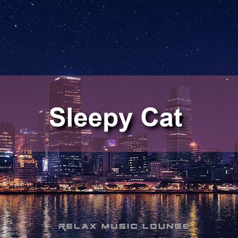 Royalty Free Music Sleepy Cat Royalty Free Music Download For Youtube Video And Projects