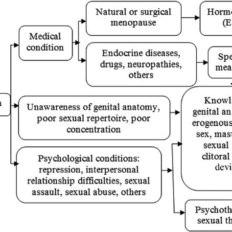 Abbreviation Top T Teaching The Sexual Response Orienting O