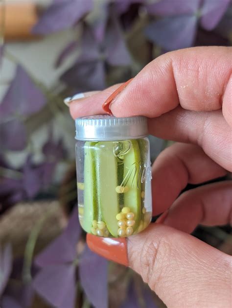 Pickles The World Is A Giant Pickle