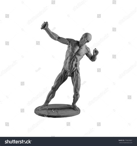 Plaster Statue Naked Anatomical Human Figure Stock Photo Shutterstock