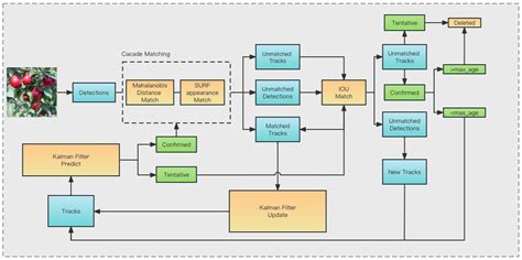 Fruit Detection And Counting In Apple Orchards Based On Improved Yolov7
