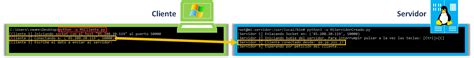 Nuestro Propio Servidor Software Socket Con Python Jarroba