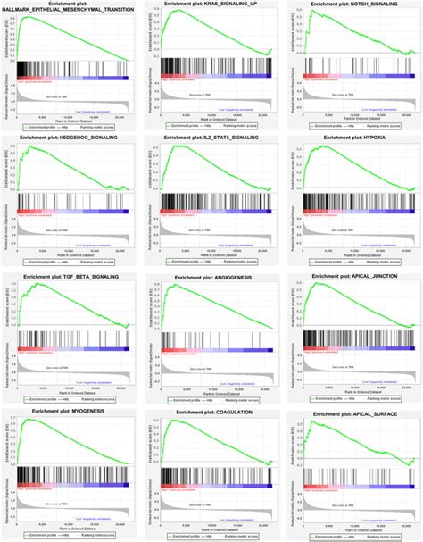 Gene Set Enrichment Analysis Of Functional Gene Set Differences Between