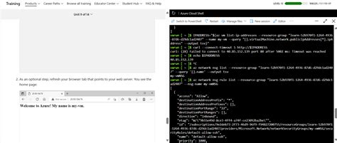Exercise Configure Network Access Tried To Run The Curl Command And