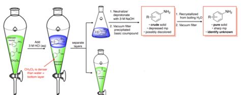 Lab 4 Acid Base Extraction Of 1 1 1 Mixture Of Unknown Neutral Compound Unknown Basic Compound