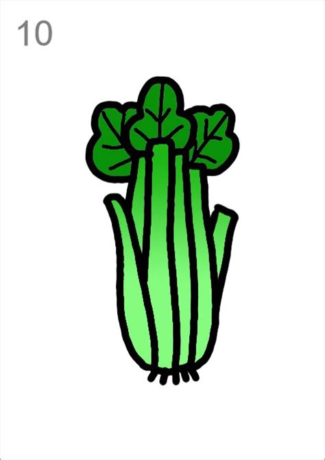 How To Draw Celery Step By Step Easy Drawing Guides Drawing Howtos