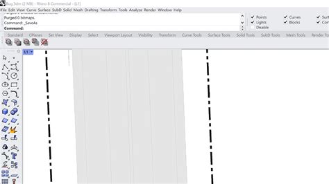 R Bug Linetype Display Inconsistency And Bug Rhino McNeel Forum