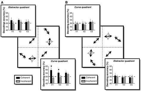 Decoding The Direction Of Motion From Voxel Patterns In Human Visual Download Scientific