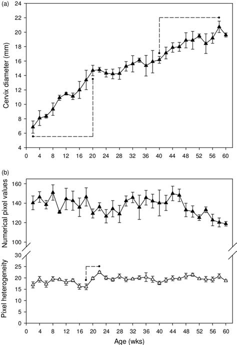 Diameter A And Numerical Pixel Values And Pixel Heterogeneity Or Download Scientific