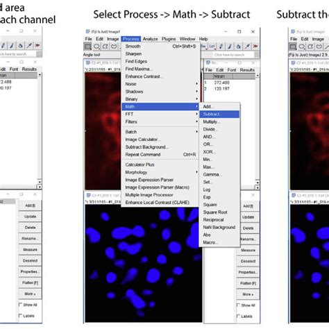 Representative Screenshots For Subtracting Background Intensity Download Scientific Diagram