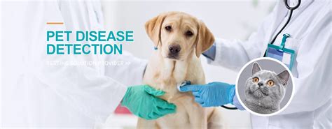 Quality Mycotoxin Elisa Kit And Drug Residue Test Kit Manufacturer