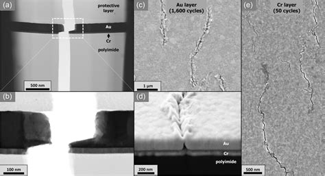 Ab A Comparison Of The Cross‐sectional Sample After Fracture To Sem