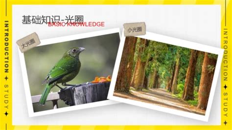 摄影基础知识ppt模板 Ppt模板下载