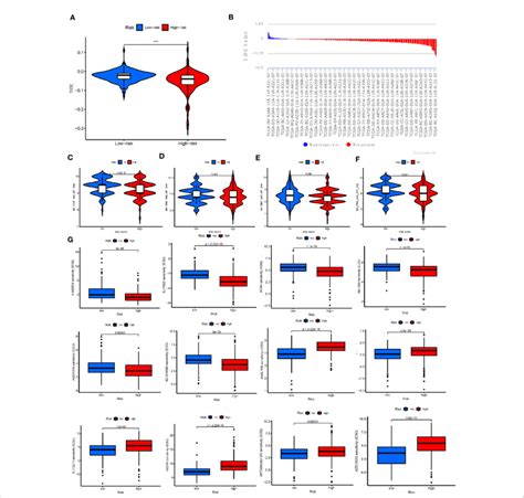 Relationship Of Cuproptosis Patterns With Clinical Immunotherapy In