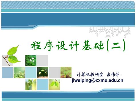 程序设计2word文档在线阅读与下载无忧文档