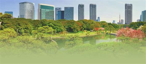 Discovery Summit Japan 2024 Handouts Jmp User Community