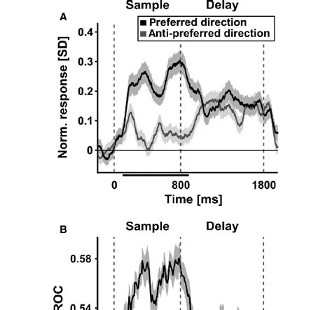 Characteristics Of Motion Direction Selectivity In The Sample Period