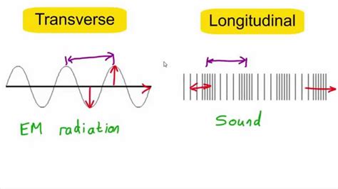 Longitudinal Wave And Transverse Wave Venn Diagram Solved V