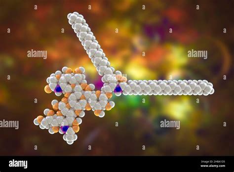 Ganglioside Hi Res Stock Photography And Images Alamy
