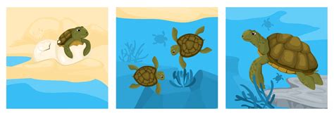 Turtle Cycle Design Concept Royalty Free Vector Image
