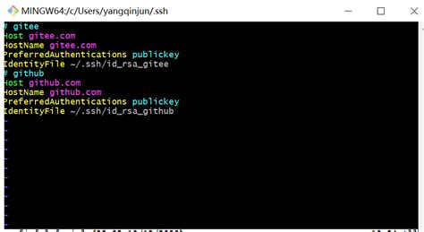 Windows配置github、gitee共存的git环境 阿里云开发者社区