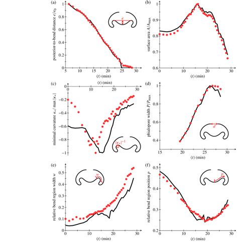Figure Supplement 1 Geometric Descriptors As In Fig 3 For The Download Scientific Diagram
