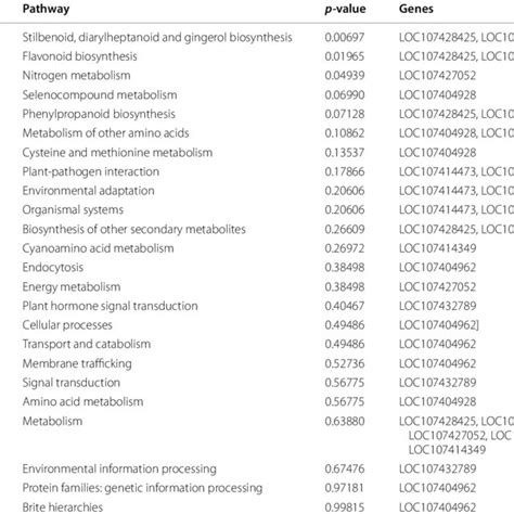 Single Nucleotide Polymorphism Snp And Insertiondeletion Indel Download Scientific Diagram
