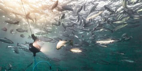 John Dwyer On Linkedin 5 Aws Customers Using Ai And Ml To Build A Better Future