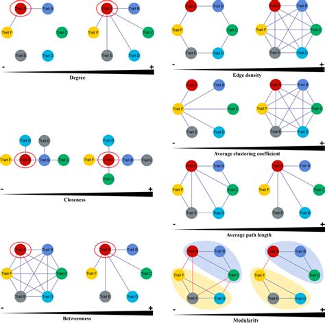 Key Parameters Of Plant Trait Network Cited From He Et Al 2020