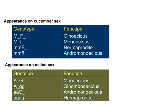 Sex Determination In Plants
