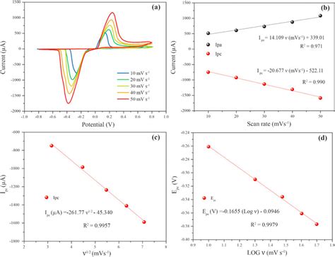 cv profiles of a zno nps pdda spage sensor at a different scan rates