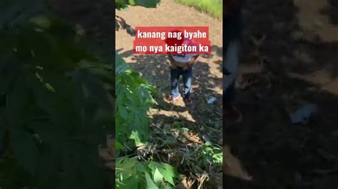 Igit Tae Nga Basa Shorts Youtube