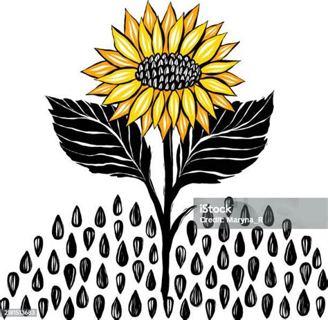 씨앗으로 둘러싸인 피는 해바라기와 함께 복고풍 스타일 벡터 일러스트 레이 션 건강한 생활방식에 대한 스톡 벡터 아트 및 기타 이미지 건강한 생활방식 계절 꽃 나무