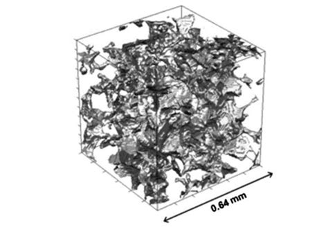 3d View Of The Reconstructed Berea Micro Ct Image Used In Dong Et Al Download Scientific