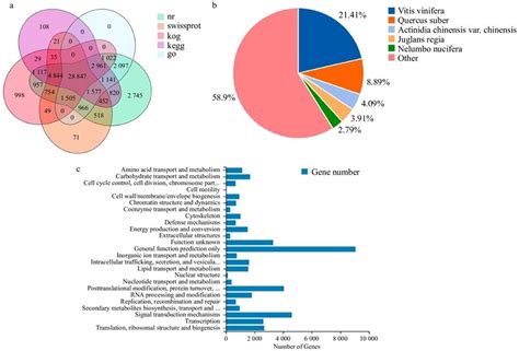 Gene Functional Annotation A Venn Diagram Of The Number Of Unigenes Download Scientific