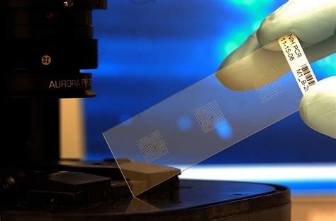 Genetic Mutation Can Be Detected Through A Biosensor Chip Absolute