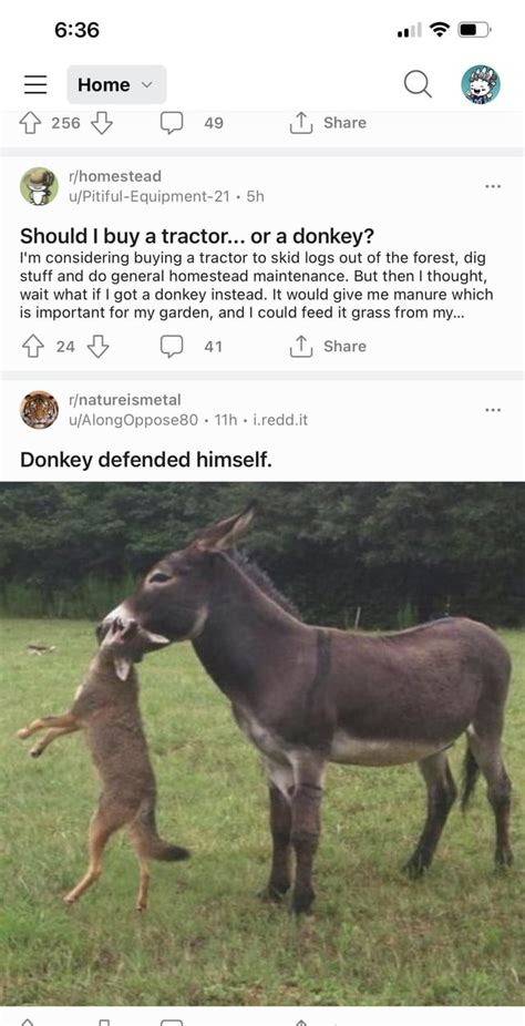 Ive Assume Many A Spherical Cow But Never A Conducting Cow R