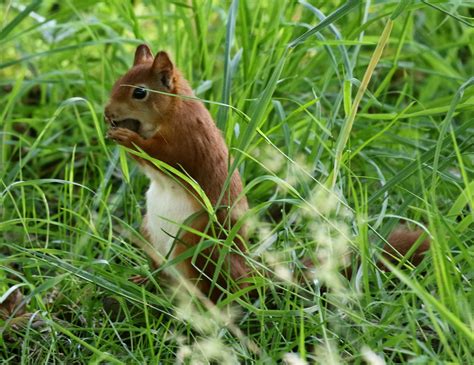 Birding With Flowers A Wet And Windy Start