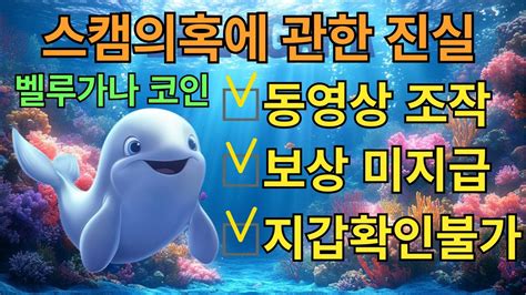 벨루가나 코인 스캠의혹에 관한 진실 풉니다 Youtube